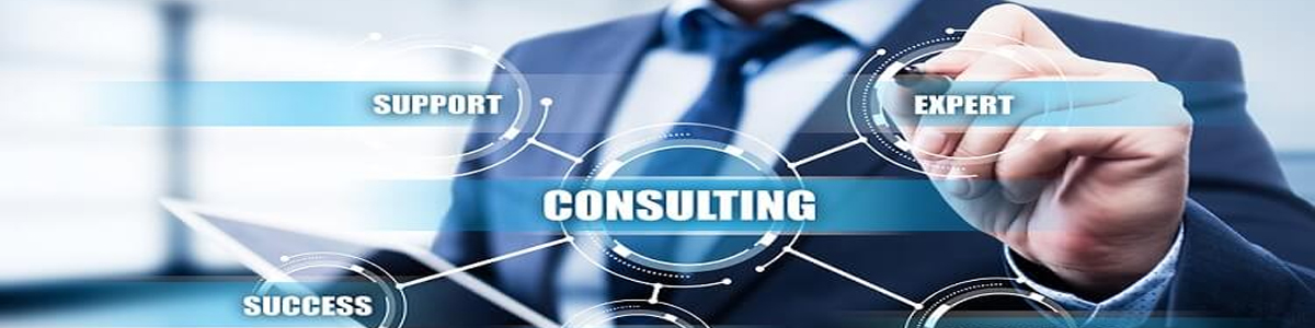 Business Consultancy